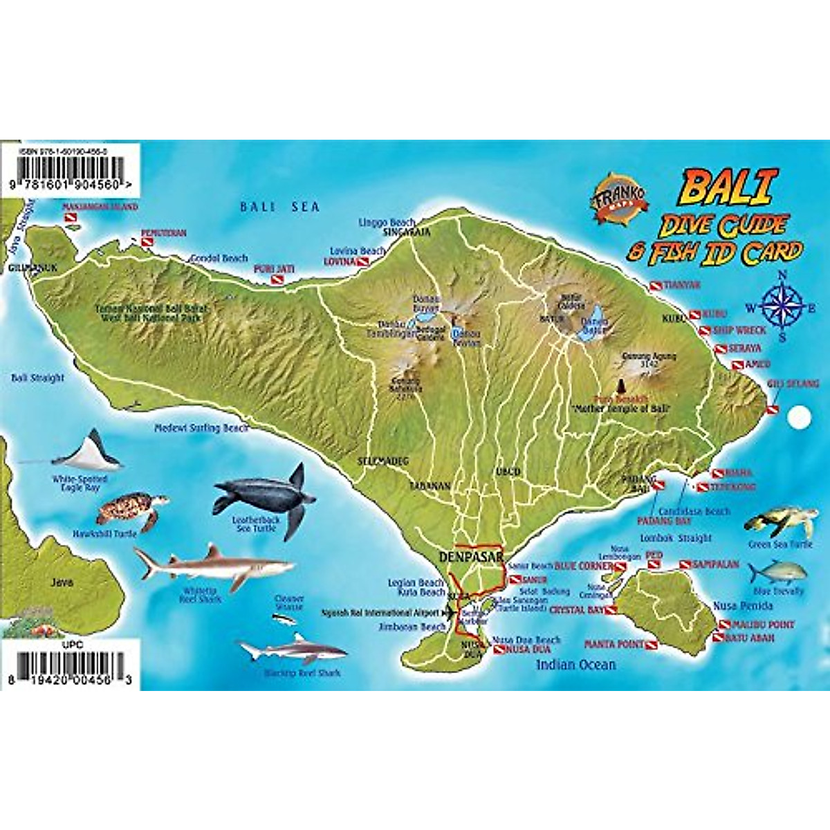 Bali Indonesia Dive Map & Coral Reef Creatures Guide Franko Maps Laminated Fish Card