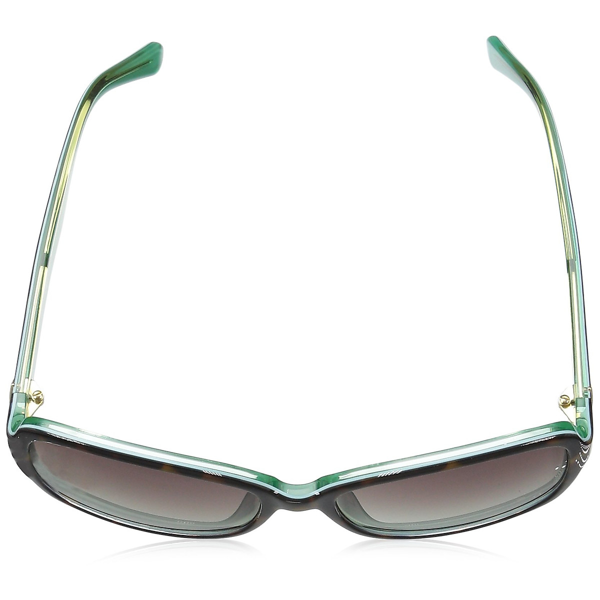 Kate Spade New York womens Ayleen Sunglasses, Havana Green/Gray Gradient Aqua, 56 mm US