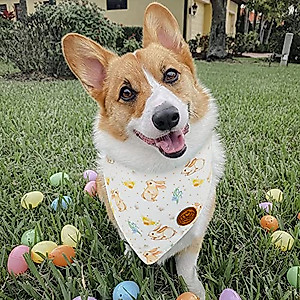 Crowned Beauty Easter Dog Bandanas Large 2 Pack, Bunnies Hip Hop Set, Carrots Polka Dots Adjustable Triangle Holiday Reversible Scarves for Medium Large Extra Large Dogs Pets