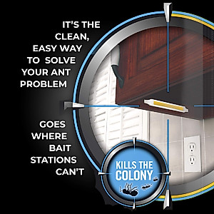 Combat Source Kill Ant Killing Bait Strips