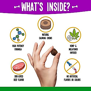 True Tails Calming Chews for Dogs – 90 Dog Calming Treats with Melatonin, Valerian Root, Hemp Oil for Dog Calming – Delicious Calming Dog Chews for Relaxation – No Preservatives or Fillers – Beef