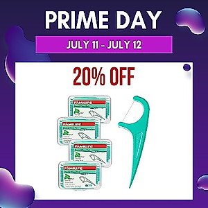 FAMILIFE Floss Picks Mint Dental Floss Picks with 4 Travel Handy Cases 240 Count Flossers
