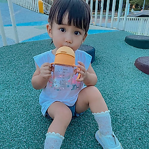 Evorie Tritan Weighted Straw Sippy Cup with Handles for Baby and Toddlers 6 months up, 7 Oz Soft Silicone Straw Infant First Training Water Bottle (Apricot)