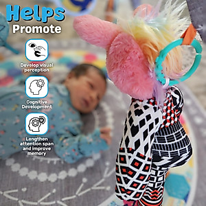 Nobory Toys The Adventure Crew High Contrast Sensory Activity Suit for Infants and Toddlers | Interchangeable with The Adventure Crew Plush Characters | Early Learning Toy