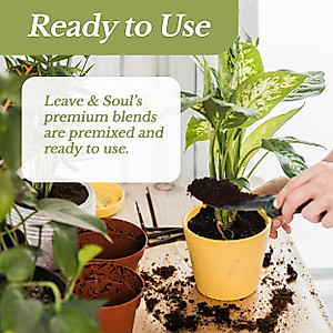 Indoor Plant Soil Premium All Purpose Blend | Large 2.2 Quarts | Ready to Use for Indoor Container and Houseplants | Peat, Coco Coir, Perlite, Dolomite | Made in USA