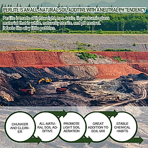 10QT Horticultural Perlite Bulk, Organic Perlite for Plants, Course Perlite for Gardening, for Plants Indoor, for Houseplants, to Promotes Soil Root Growth, and Water Drainage and Plant Growth(3-6mm)