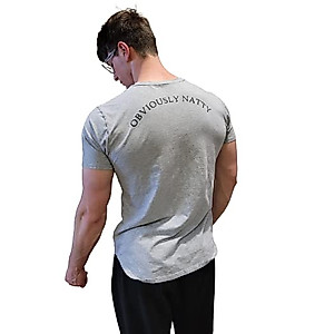Obviously Natty Gym T-Shirt Grey