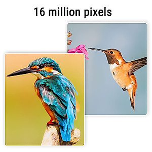 Digital Camera for Photography 16mp 2.4 Inch LCD Screen 16x Digital Zoom 720p Digital Camera Small Camera for Teens Students Boys Girls Outdoor Travel