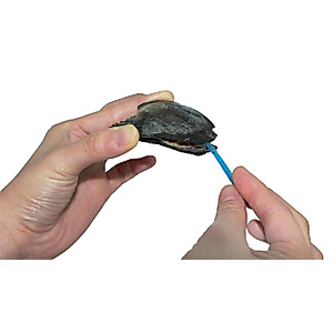 My Inspirations Precious Pearl Pearl in Oyster Kit, Mysterious Pearl Gift Set, DIY Necklace Making Kit, Elegant Pendant with 20" Chain, Great Gift for Any Occasion(Lotus)