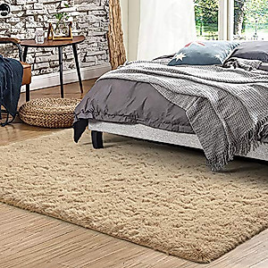 Pacapet Fluffy Area Rugs, Beige Shag Rug for Bedroom, Plush Furry Rugs for Living Room, Fuzzy Carpet for Kid's Room, Nursery, Home Decor 4 x 6 Feet