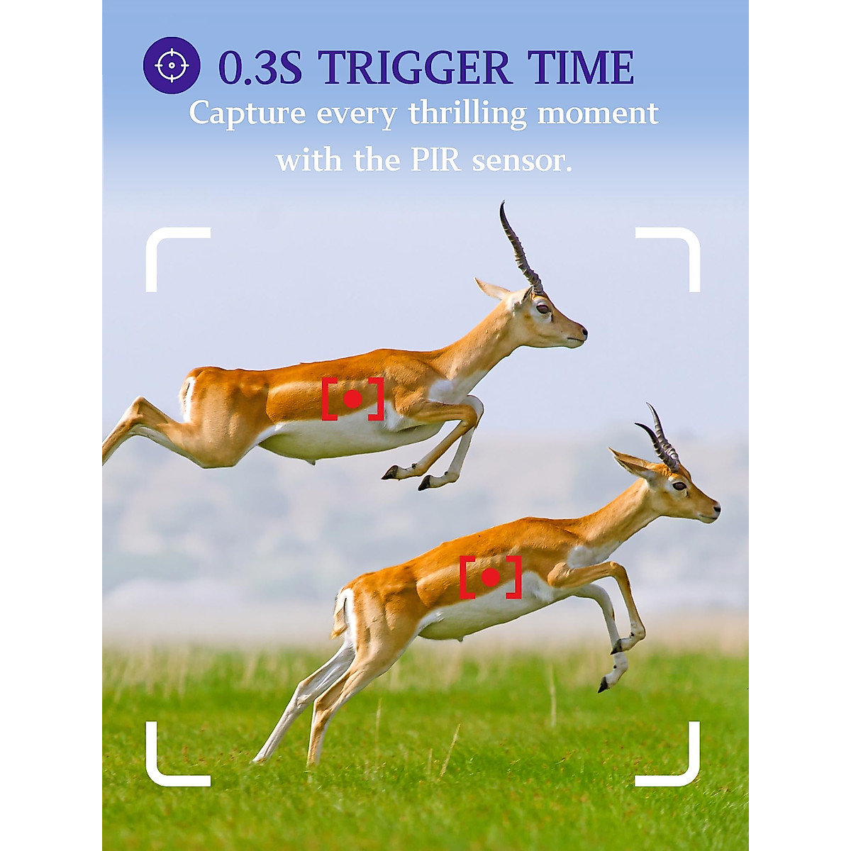 BLAZEVIDEO 2-Pack Game & Trail Camera 32MP 1296P MP4 Video No Glow Night Vision Motion Activated IP66 Waterproof 0.3 Trigger Speed for Hunting Wildlife & Home Surveillance