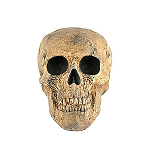 MYard Fireproof Imitated Human Fire Pit Skull Gas Log for NG, LP Wood Fireplace, Firepit, Campfire, Halloween Decor, BBQ (Qty 1, Brown - Mini, One Piece)