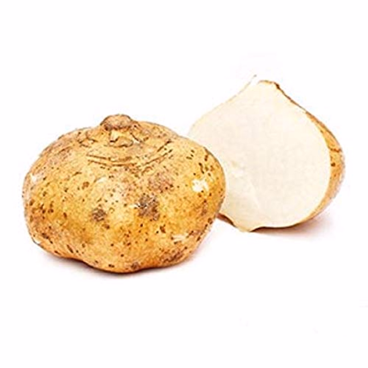 David's Garden Seeds Jicama 4356 (Brown) 25 Non-GMO, Heirloom Seeds