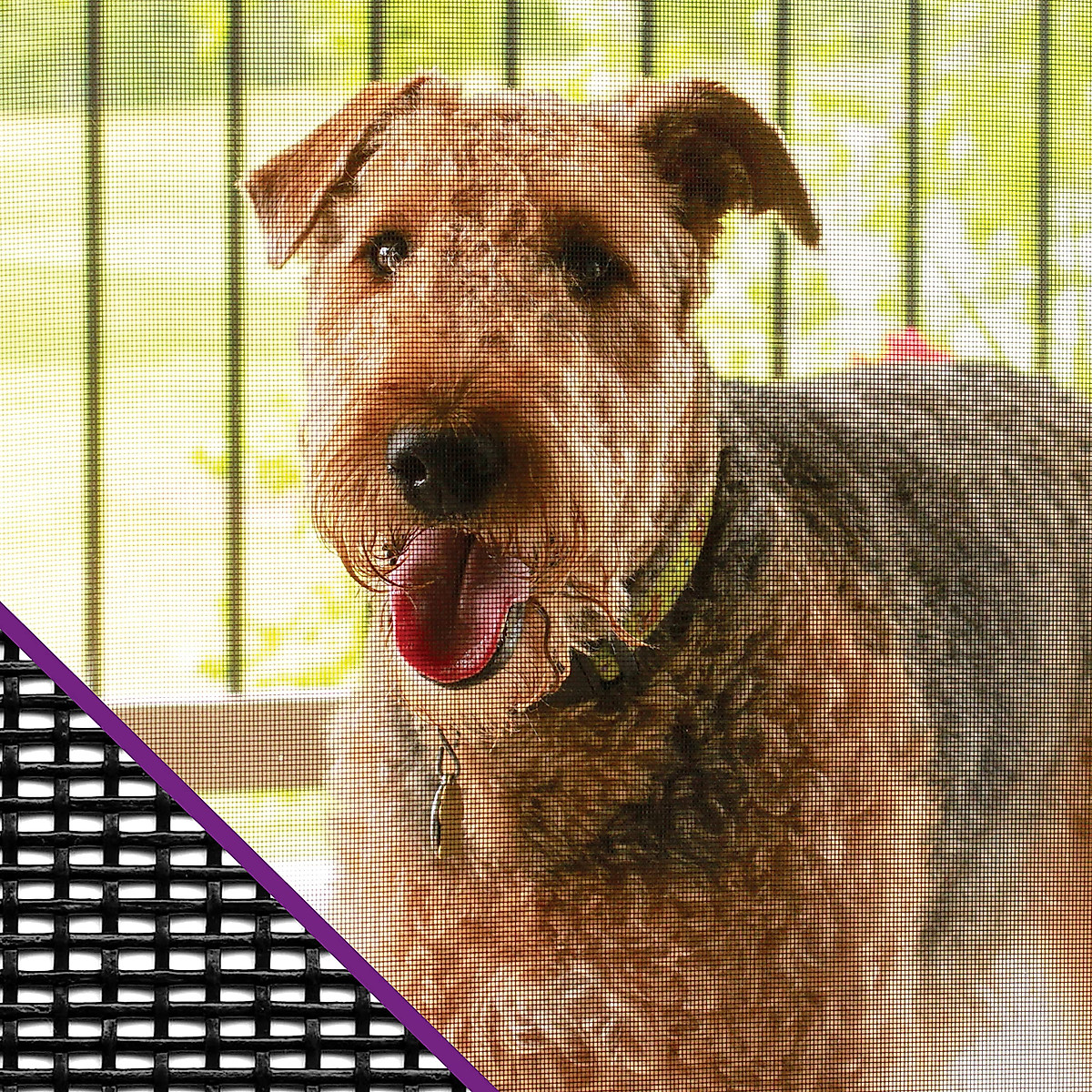 Saint-Gobain ADFORS FCS8996-M Pet Screen, 48" x 100', Charcoal