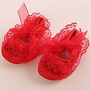 Niyage Baby Girls Clothes Dress Headband Shoes 3 Pcs Set Flowers Party Outfit Floral Dress-Red 0-3 Months