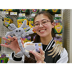 GIANTmicrobes Brain Cell Plush, Neuron Plush, Neuroscience Gifts, Neurology Gifts, Science Plush, Neuron Model Anatomy, Psychology Gifts, Psychology Decor, Brain Themed Gifts, Mental Health Awareness