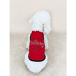 6 Pieces Small Puppy Shirts for Boy Dog Clothes Pet Dogs T Shirt Chihuahua Clothes Cat Shirts Pet Boys Tshirts for Small Dogs Boy T-Shirt Cat Vest Apparel