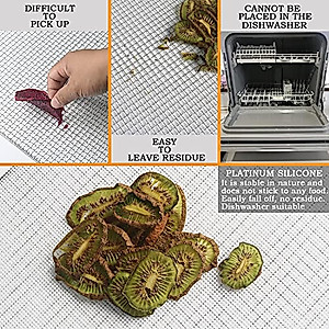 Kispog 10 Pcs/Sets Silicone Dehydrator Sheets for Food Dehydrator & Freeze Dryer, 14x14 in