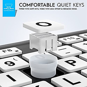 Nuklz N Magnus 325 | Wireless Large Print Full Size Computer Keyboard | High Contrast Black & White Keys | Soft Buttons | Ideal for Visually Impaired, Beginners and Seniors | Plug & Play