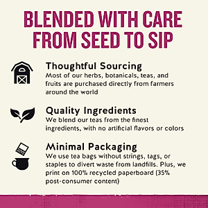 Celestial Seasonings Sleepytime Wellness Echinacea Immune Boost, Caffeine Free, 20 Tea Bags Box, (Pack of 6)