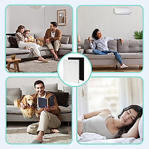 TOMORAL D360 Filter Replacement for Winix Air Purifier D360, Includes 2 True HEPA (H13) Filters and 8 Activated Carbon Pre-filters, Replaces for Winix D3 filter - 1712-0101-02