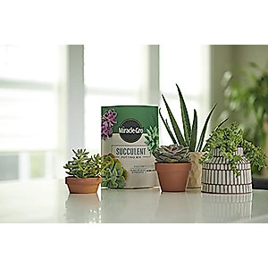 Miracle-Gro Succulent Potting Mix: Fertilized Soil with Premium Nutrition for Indoor Cactus Plants, Aloe Vera and More, 4 qt.