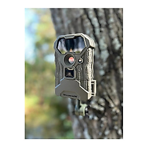Stealth Cam Wildview Trail Camera 14MP - Fast 0.7s Trigger Speed, 60-Feet IR Range - Outdoor Wildlife Monitoring Bundle with 32GB Memory Card and High-Speed Card Reader (3-Pack)