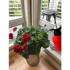 POLYTE One Hand Pressure Sprayer for Lawn, Garden, Pest Control, 50 oz / 1.5 Liter, 1 Pack