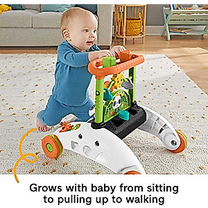 Fisher-Price Baby & Toddler Toy 2-Sided Steady Speed Panda Walker With Smart Stages Learning & Blocks For Ages 6+ Months