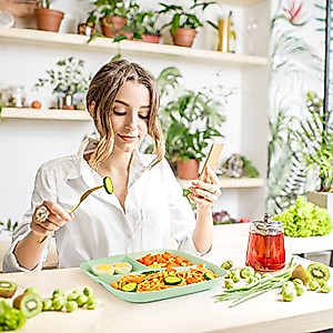 DLF. DONGLINFENG Adult Compartmentalized Dinner Plates 5-Piece Set Unbreakable Portion Control Wheat Plastic Dinner Plates (Compartmentalized Plates/Picnic Plates) 10-Inch