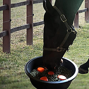 Drop 'N' Slow® Patented Portable Equine Slow Feeder Insert Designed to Reduce Choke, Curb Bad Eating Habits and Promote Healthy Digestion in Horses - Fits 12 Inch Round Feed Tubs