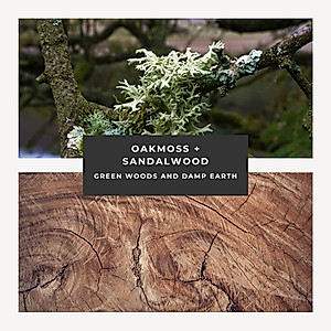 Oakmoss and Sandalwood Rollerball Cologne for Men, Women, Unisex, Green Earthy Aromatic Scent, Celt by Herb and Root, 10 ml