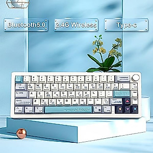 BOYI GMK67-65% Barebones Keyboard Kit,Hot Swap BT5.0/2.4G/Type-C Tri-Mode Wireless RGB Mechanical Keyboard PCB Mounting Kit with Silicone Pad,South-Facing LEDs Customized Keyboard Kit(White+Knob)