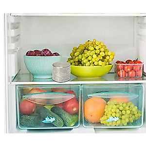 Refrigerator Deodorizer Fridge Deodorizer 12-Hour Quick Odor Eliminator Beyond Baking Soda and Bamboo Charcoal Air Purifying Bags