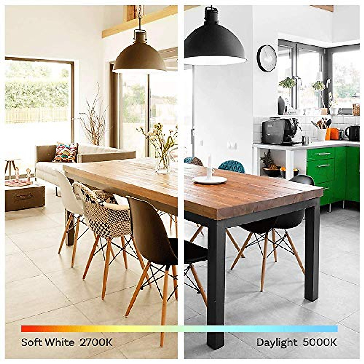 Amazon Basics - A19 LED Light Bulb, Daylight White, 15W (Equivalent to 100W), Non-Dimmable, 10,000 Hour Lifetime, 2-Pack