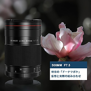 Lightdow 500mm f/7.5 Telephoto Reflex Mirror Lens for Canon EOS Rebel T1i T2i T3 T3i T4i T5 T5i T6 T7 T6i T6s T7i SL1 SL2 30D 40D 50D 60D 70D 77D 80D 1D 5D III IV 5Ds 6D 7D Mark II SLR Digital Cameras