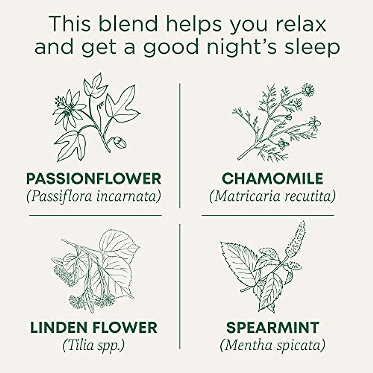 Traditional Medicinals Tea, Organic Nighty Night, Relax & Get a Good Night's Sleep, 16 Tea Bags (Packaging May Vary)