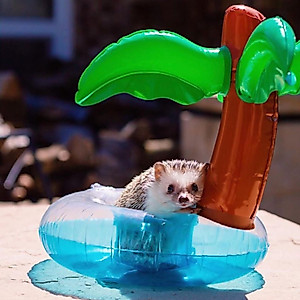 SEZDEKI 5 Pack Bearded Dragon Bathtub Toy - Small Animal Toy Inflatable Float for Hedgehog Lizard Ferret Tortoise Small Pets Accessories Photo Shoot Toy Pet Supplies (5 Pcs)