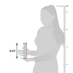 La Crosse Technology 704-1522 Rain Gauge Replacement Glass Tube, Clear