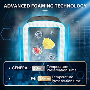 Mini Fridge 4 Liter AC/DC Energy Saving Cooler And Warmer Refrigerator, Portable Personal Fridge For Office, Car, Bedroom, 100% Freon-Free Great For Skincare, Fruit, Food, Medicine(Black) - F