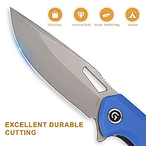 GVDV 9Cr18Mov Stainless Steel Pocket Knife with Ball Bearing Flipper, 3.6”Blade Folding Knife with G10 Handle, EDC Pocket Knives for Hunting Camping Fishing, Gifts for Men Women, Large (Blue)