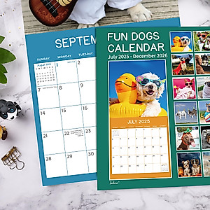 2023-2024 Wall Calendar - Cute Puppies Wall Calendar 2023-2024, Fun Dogs Wall Calendar, Jan. 2023 - Jun. 2024, 12'' x 12'' (Closed), 12'' x 24'' (Open), Dog Calendar, Hanging Hole, Holidays