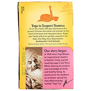 Yogi Tea, Echinacea Immune Support, 16 Count