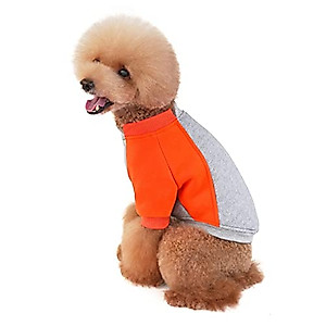 cutedog Combination of Gray and Orange Dog Hoodie Sweater for Dogs Pet Clothes (Large)