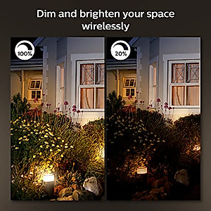 WALL LANTERN LED 9.4"H