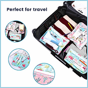 EzPacking Clear Zipper Pouches (Set of 2) / Transparent Reusable PVC Organizers for Women’s Purse or Tote Bag/Cute Slim Flat Japanese Style Watermelon Cactus Pencil Pouch for Travel (Watermelon)