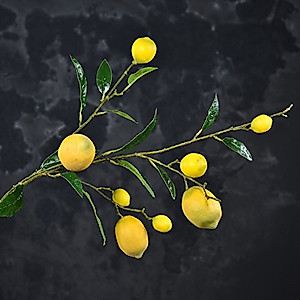 GiDiProtea Artificial Lemon Branch Yellow Vivid Artificial Fake Lemon Flower Home Party Garden Decoration 2Pcs 7 Lemons