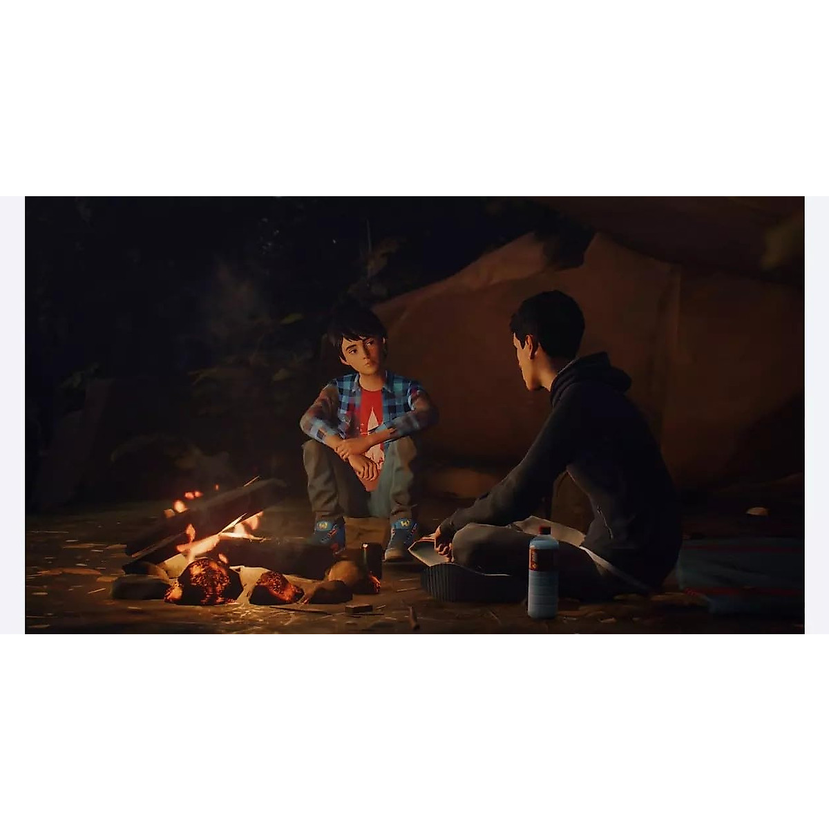 Life is Strange 2 (PS4)