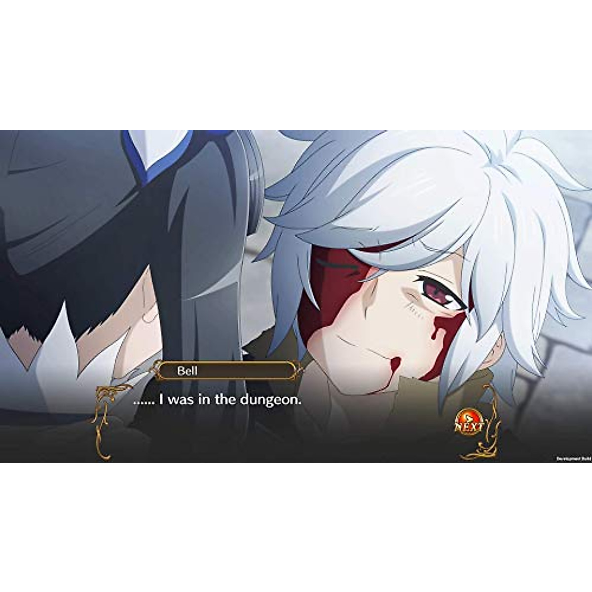 Is It Wrong To Try To Pick Up Girls in A Dungeon? Infinite Combate (Nintendo Switch)