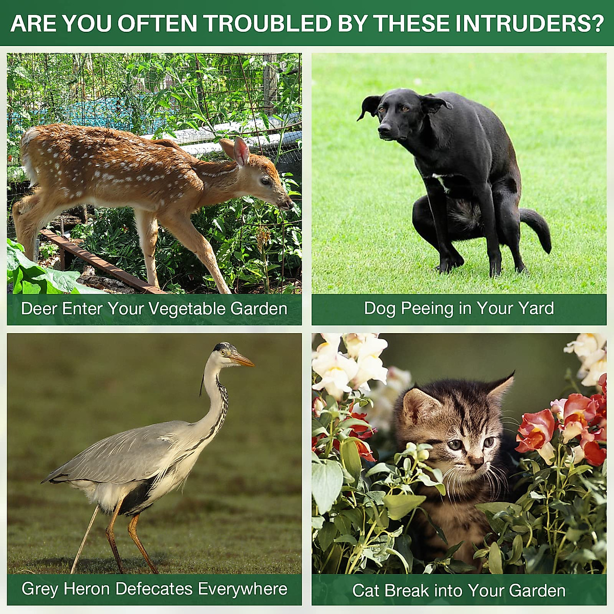 Ultrasonic Animal Repeller,Solar Pest Animal Repellent Outdoor,Squirrel Repellent,Animal Deter Devices Outdoor,Effective Cat Repellent Outdoor with Motion Sensor & Flashing Light for Yard Garden